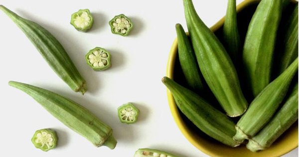 Le gombo, un véritable allié pour la santé - Le Sénégal à l'export